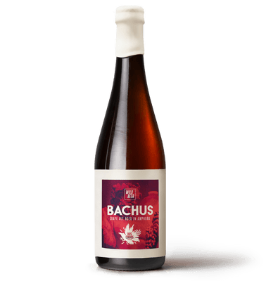 Bachus - Amphora Aged Wild Ale | Dois Corvos Cervejeira, Lisboa Portugal